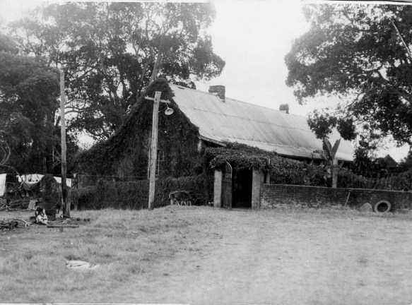 Wolston Estate – 19th Century | Centenary Suburbs Historical Society